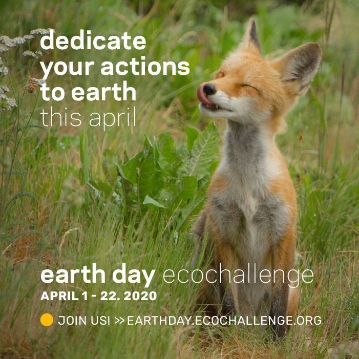 Earth Day Ecochallenge - Home Page